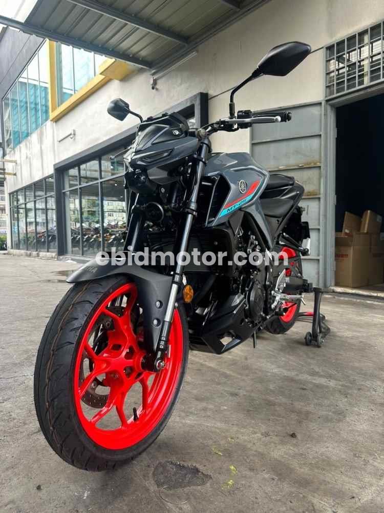 2021 Yamaha MT-25 - Motor Terpakai Untuk Dijual | EBIDMOTOR